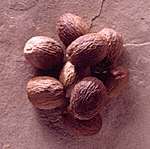 Nutmeg – DrugWise